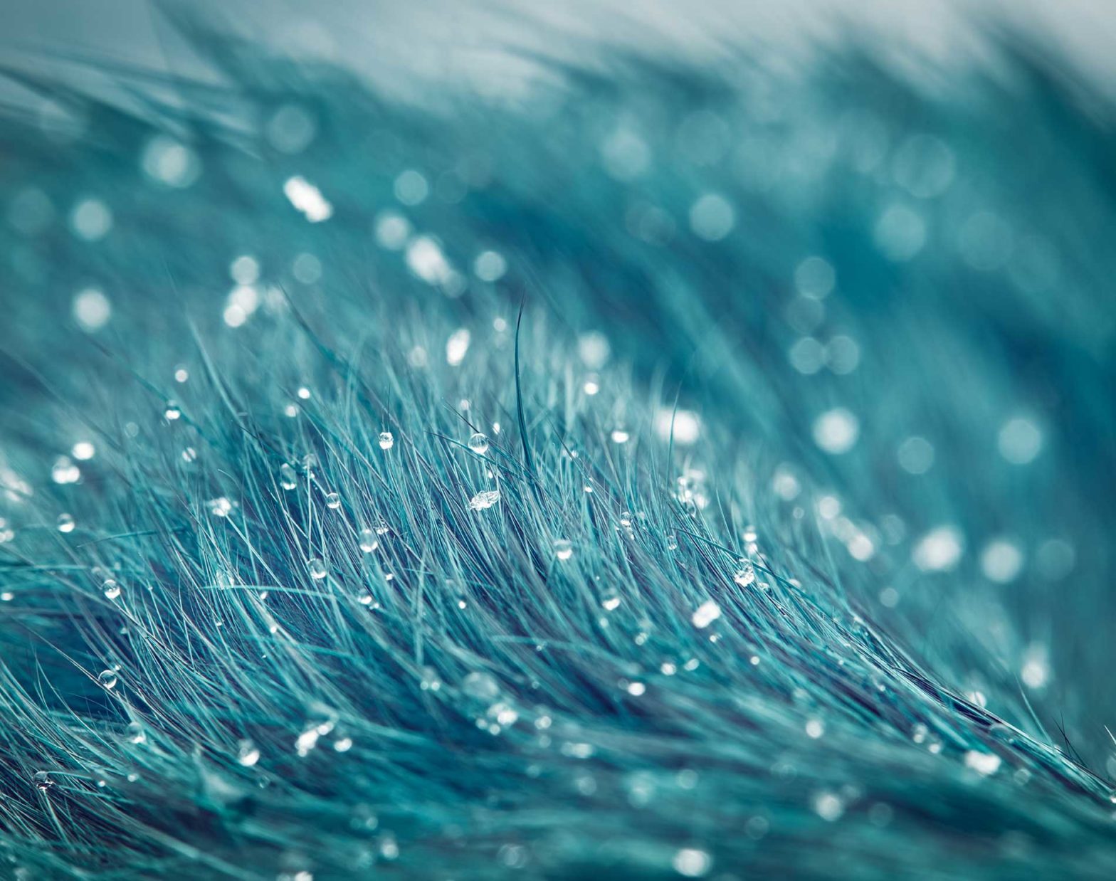 A Statute-Barred Claim is Not a Provable Claim in Bankruptcy - Dentons ...