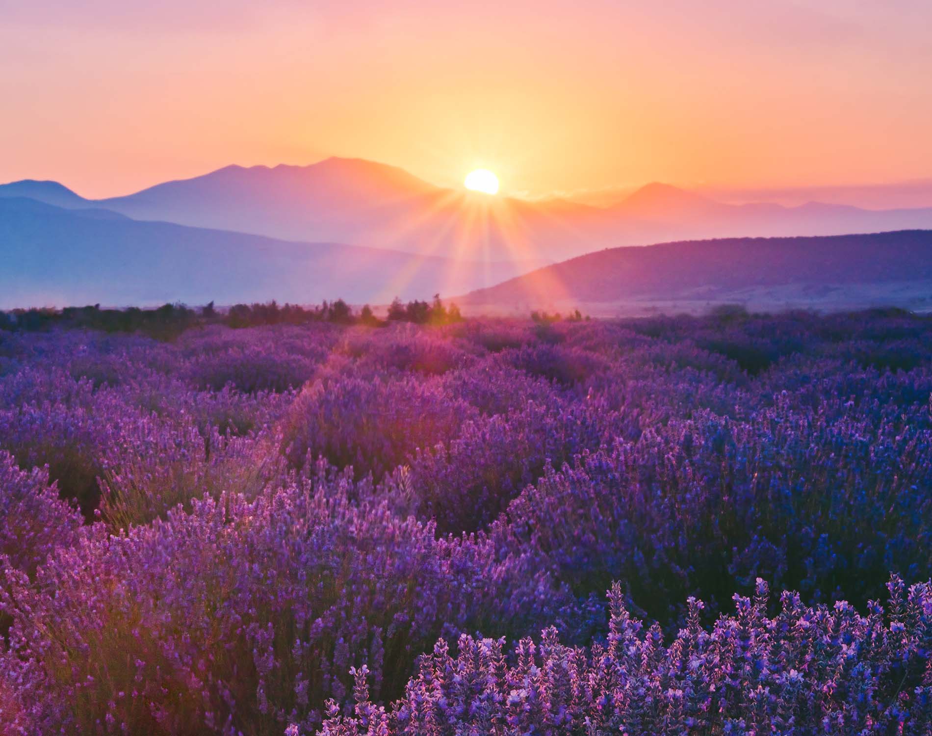 Hilmer Motorsport GmbH v. Mason: The starting line for a jurisdictional defence is at the ...